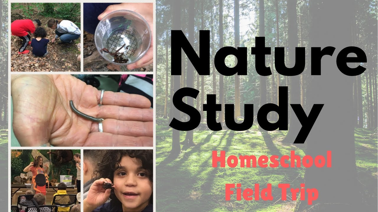 Homeschool Field Trip / Nature Class / Insects! - YouTube