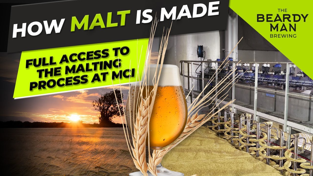 How Malt Is Made – Full Access to the Malting Process at MCI - YouTube