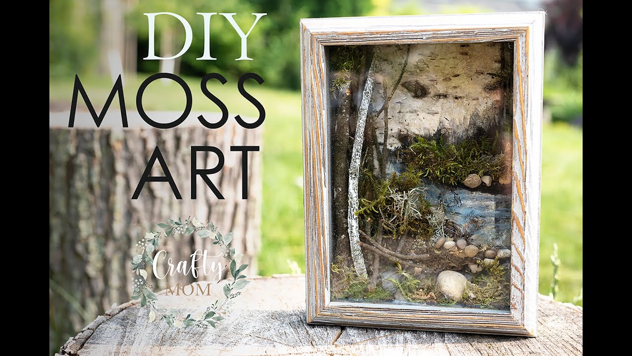 DIY Moss Frame Moss Art - YouTube