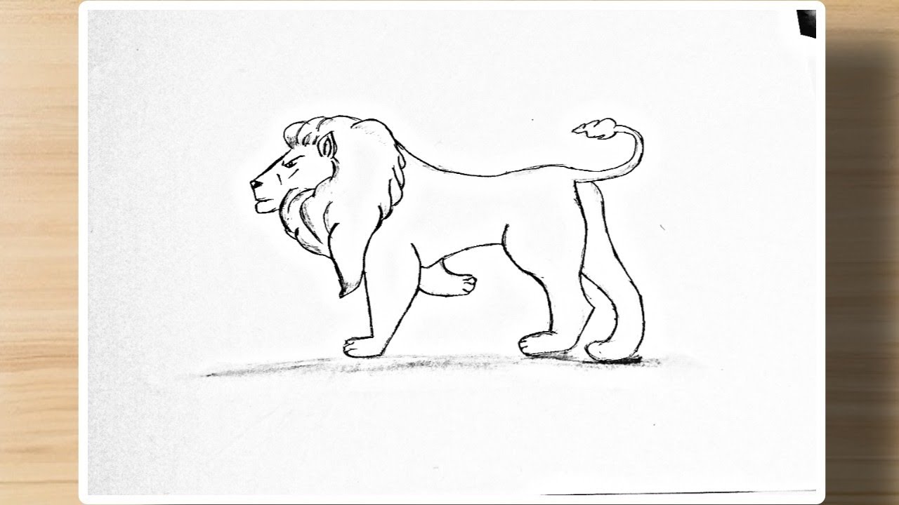 How to draw a lion step by step || lion drawing easy - YouTube