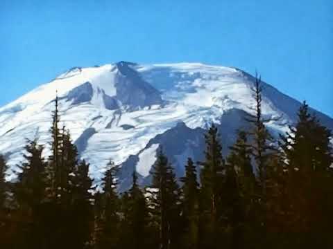 #MSH45 | September 1977