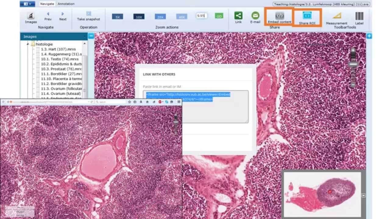 PMA.teach - HD - YouTube