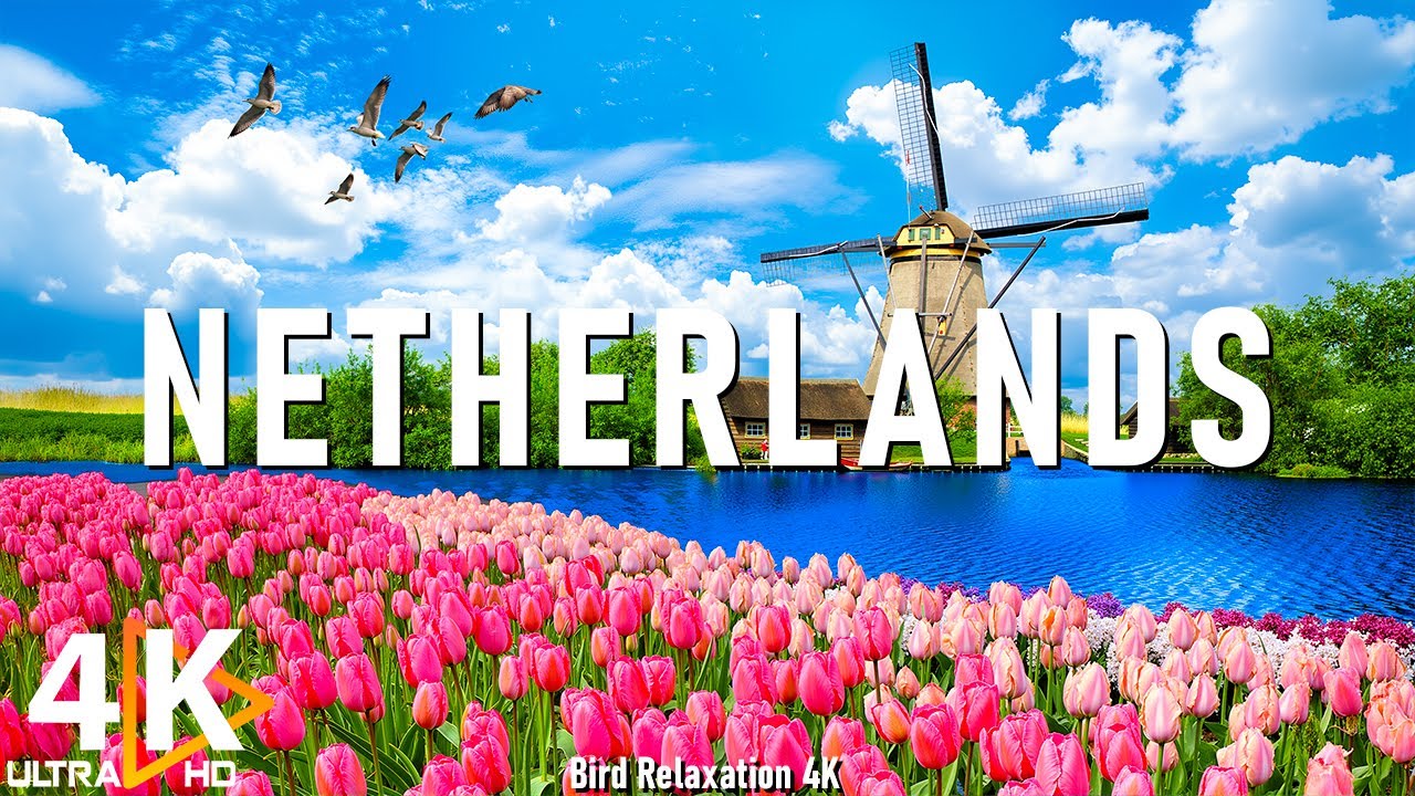Netherlands 4K 🌷 Explore Iconic Windmills, Tulip Fields, and Charming ...