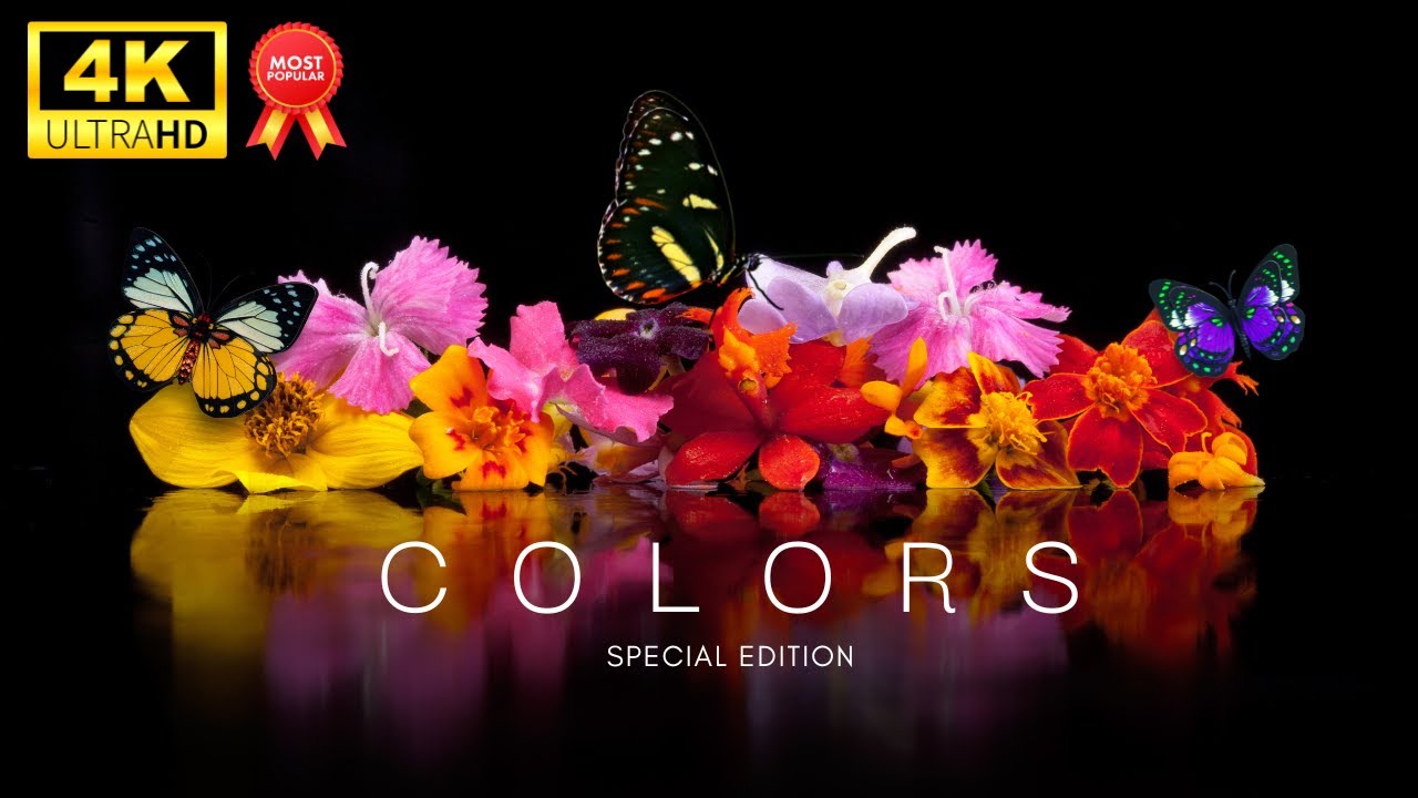 4K HDR Dolby Vision Demo - COLORS - YouTube