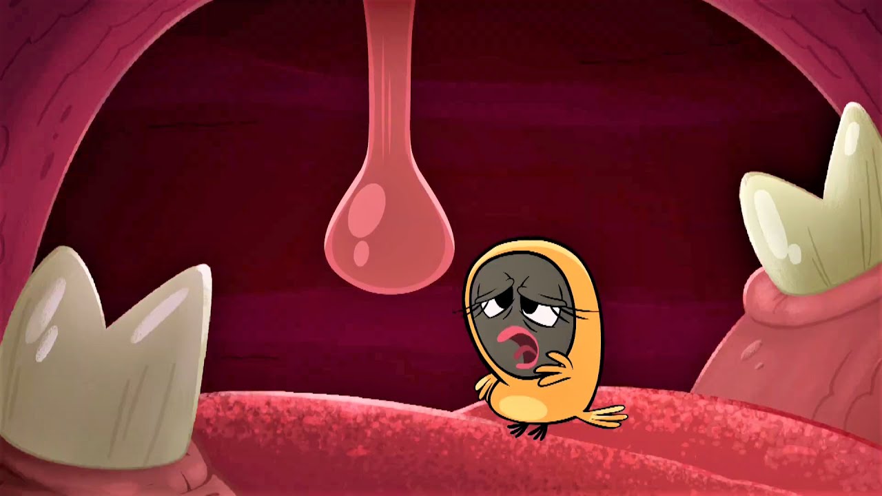 Boar eats bird (ZZ S02E02) - YouTube