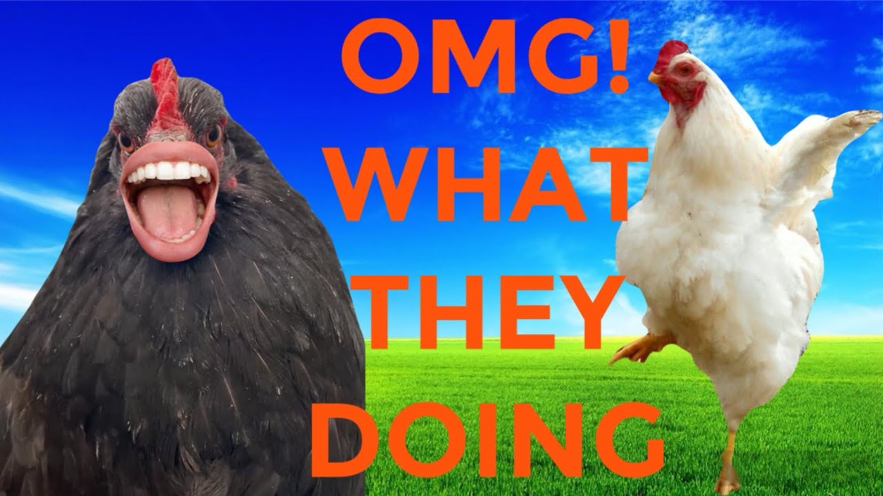 Dancing chicken.Dancing rotisserie chicken - YouTube