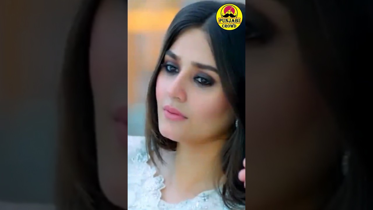 Top 10 Punjabi Songs Sung by Pakistani Singers - YouTube