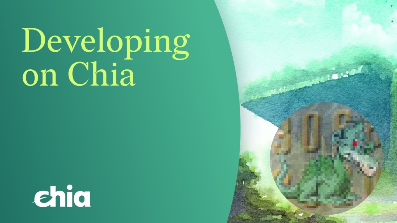 Drako Pensulo: The Developer Who Broke the Chia Blockchain - YouTube