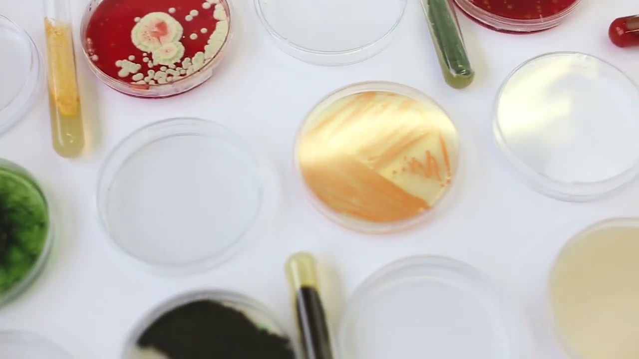 Microbiology at Celignis - YouTube