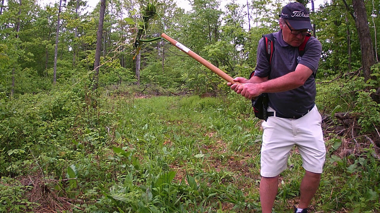 Trail Clearing - YouTube