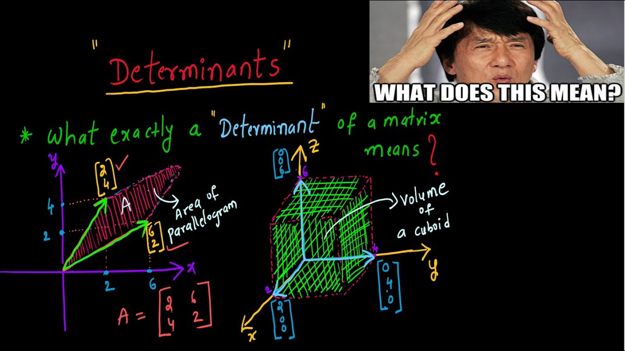 LINEAR ALGEBRA (GEOMETRIC MEANING OF THE DETERMINANT) - YouTube