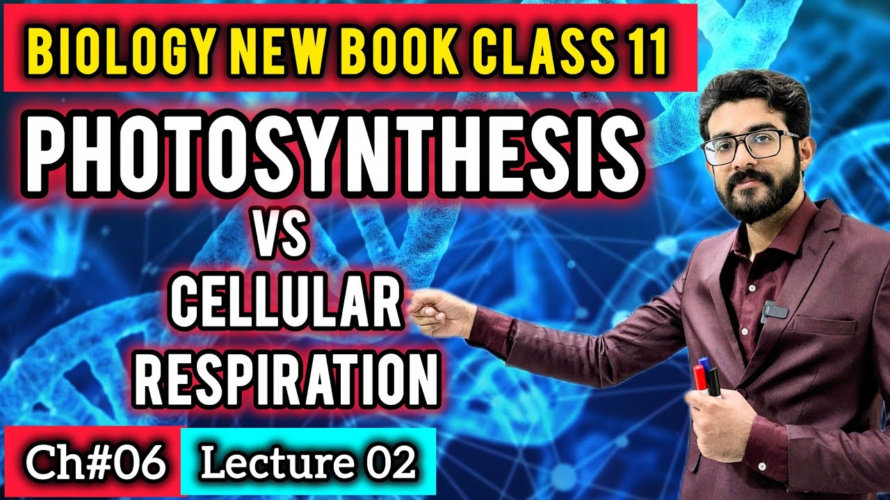 Photosynthesis vs Cellular Respiration & Compensation Point | Class 11 ...