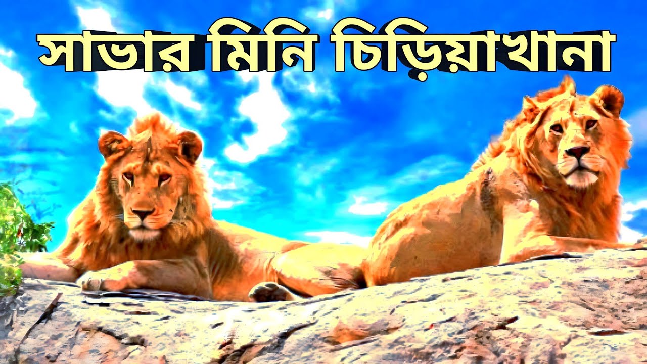 সাভার অরণ্যালয়, মিনি চিড়িয়াখানা, পিকনিক স্পট | Savar Mini Zoo | Mini ...
