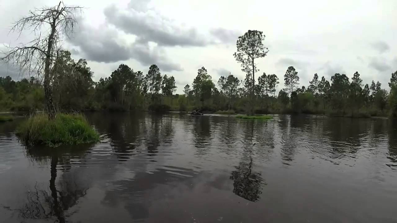 Hog Waller Video 3 - YouTube