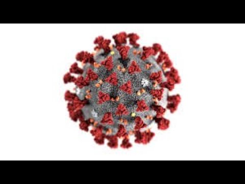 Covid-19 Bilinmeyen Gerçekler Silinmeden Hemen İzle (3)