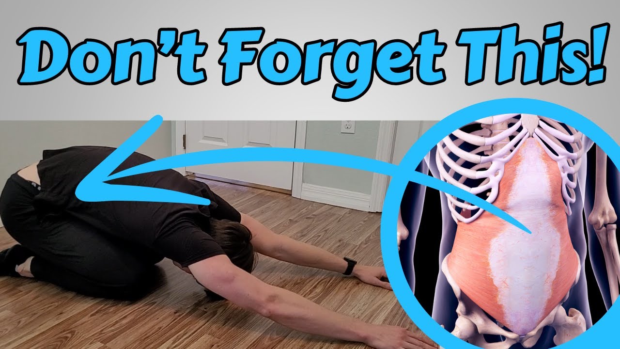 BEST Spondylolisthesis Exercises and Stretch for Lower Back Pain (Child ...