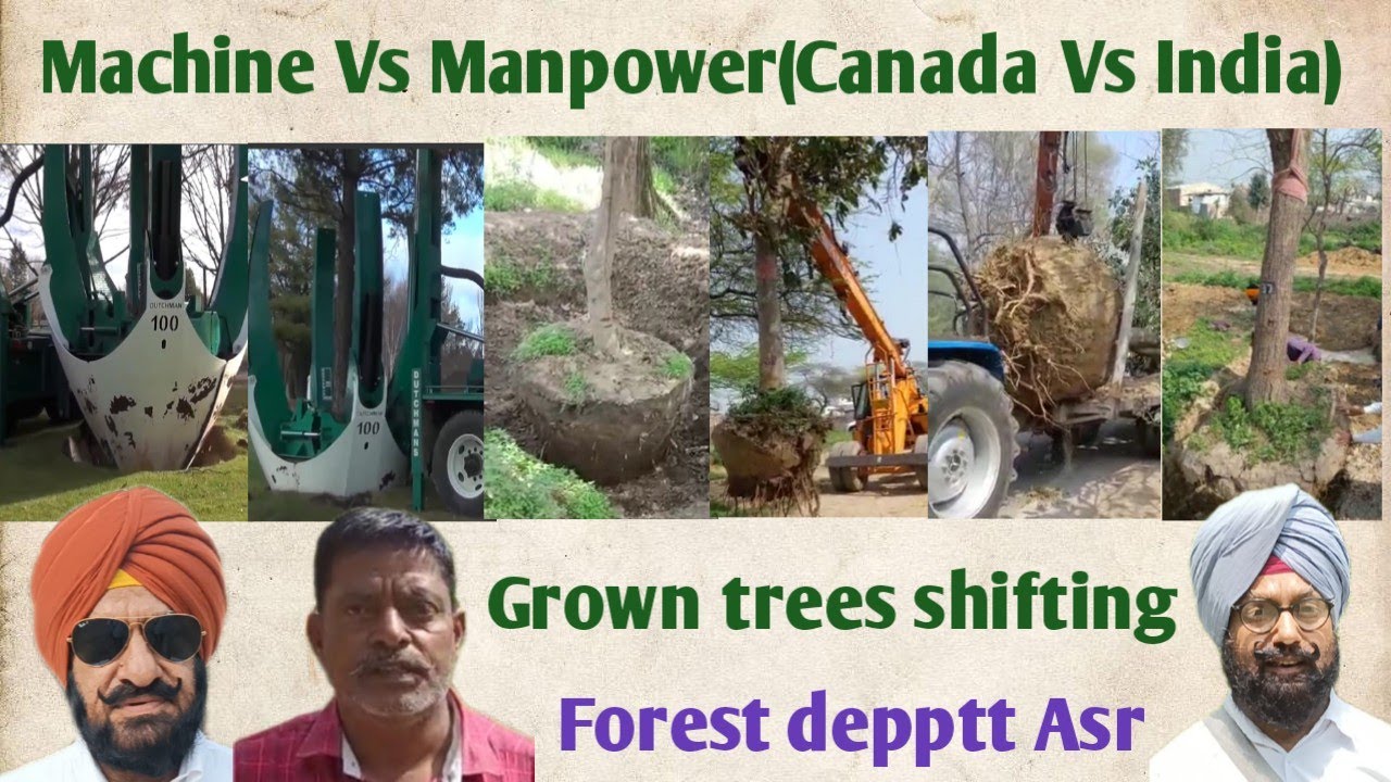 Tree shifting# Man Vs Machine@funnysardarjipilot3448 - YouTube