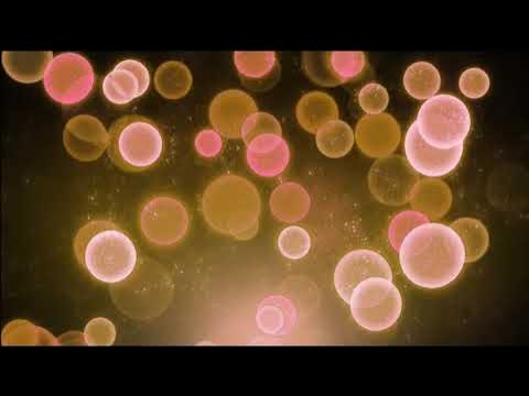 Yellow Bubbles Video Loop Animation - YouTube