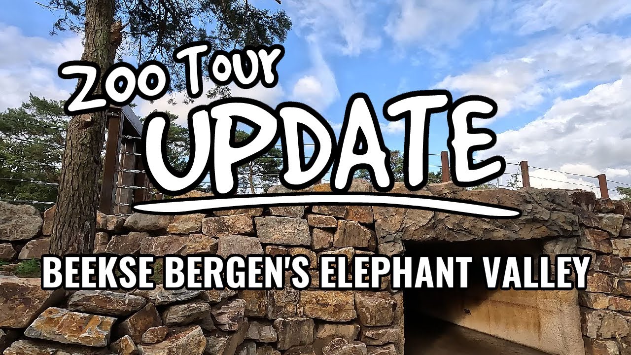 How far along is the new Elephant area at Beekse Bergen? | Zoo Tour ...