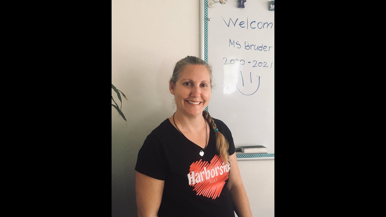 The LOCAL 08/03/2020 with Miss. Bruder from Harborside Elementary ...