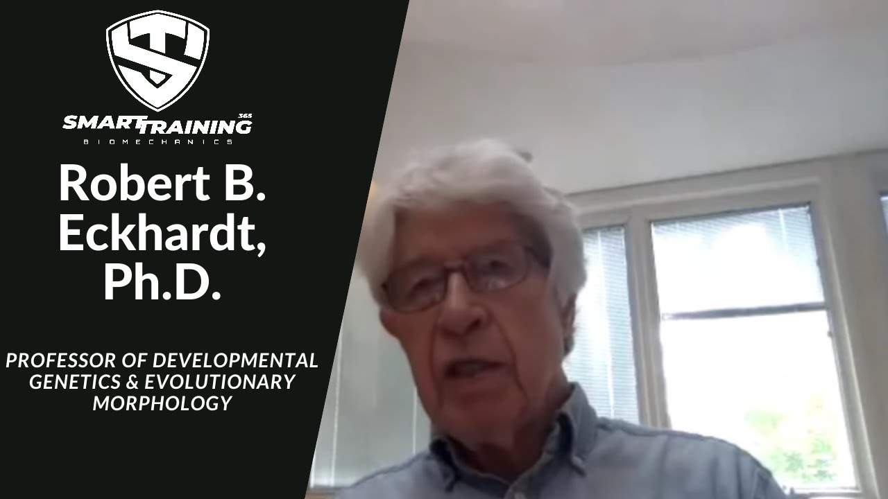 Interview With Robert B. Eckhardt Ph.D.Professor of Developmental Genetics & Evolutionary ...