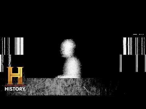 4 HORRIFYING STRANGE CREATURES *CAUGHT ON CAMERA* | The Proof Is Out There | History