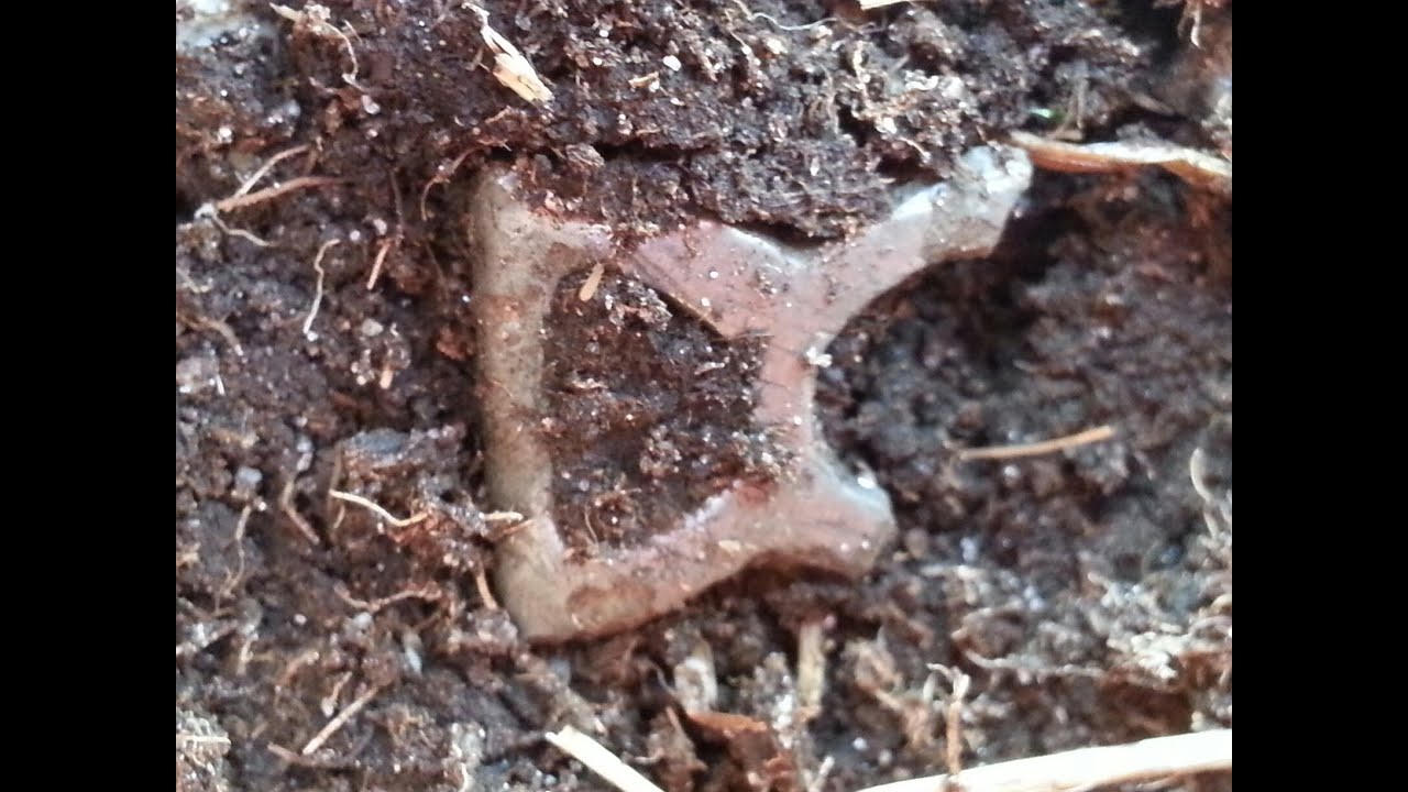 Viking excavation part 1 # 60 - YouTube