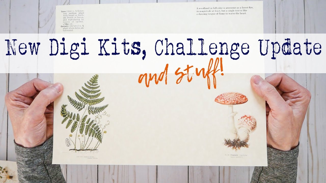 New Digi Kits, Challenge Update and Stuff! - YouTube
