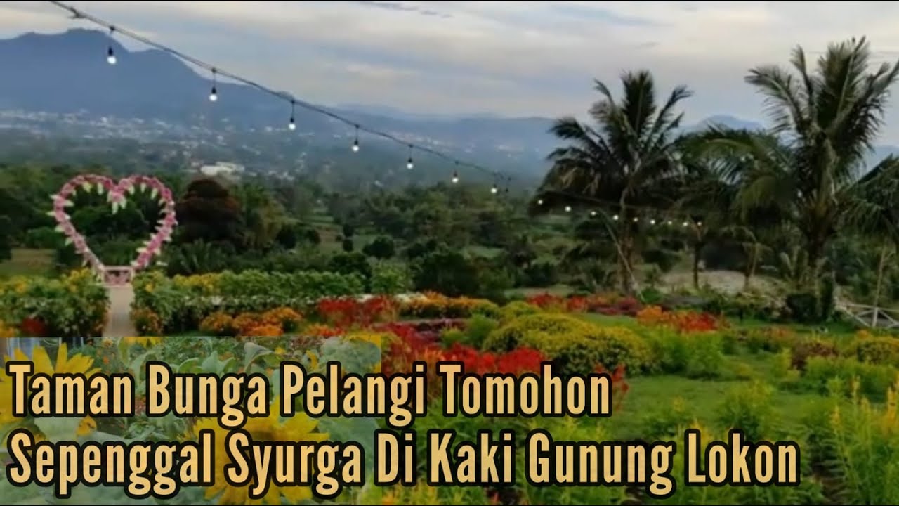 Sepenggal Syurga Di Kaki Gungng Lokon | Taman Bunga Pelangi Tomohon ...