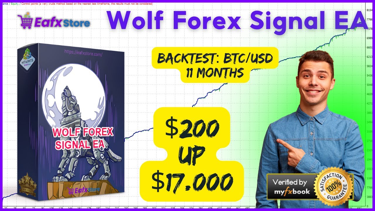Wolf Forex Signal EA Backtest 2024 | FX STORE EA - YouTube