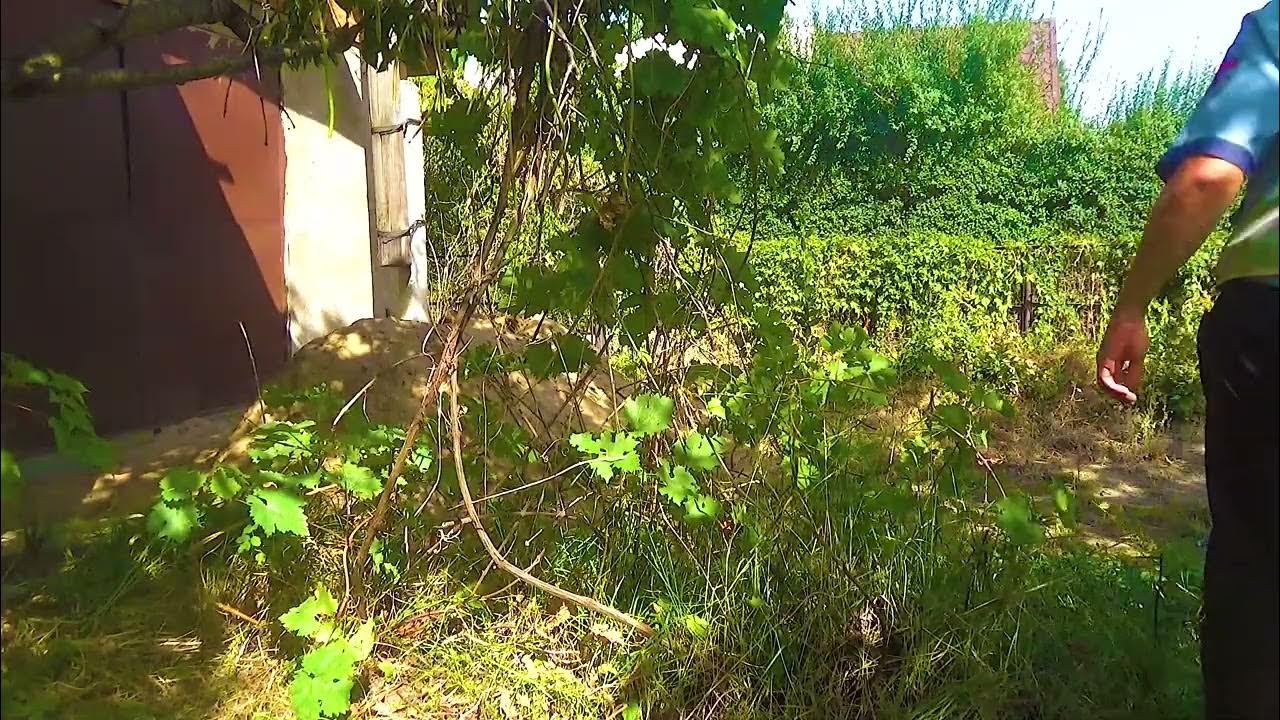 1 Много травы 2 - YouTube