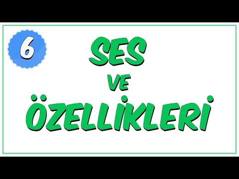 6.Sınıf Fen Bilimleri | Ses ve Özellikleri