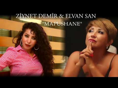 harika bi şiir ziynet demir elvan san