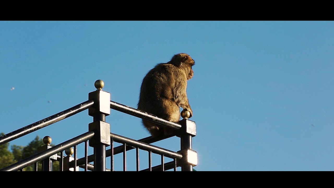 Epic tour with Mico - YouTube