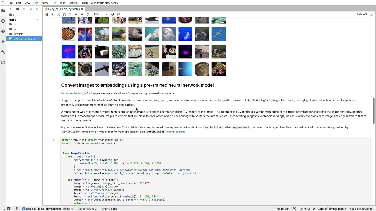 Pinecone Demo - Image similarity search example - YouTube