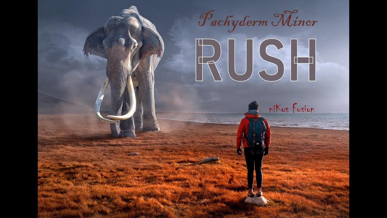 NEW RUSH ALBUM ~ Pachyderm Minor ~ A Hypothetical Assortment of Edited ...