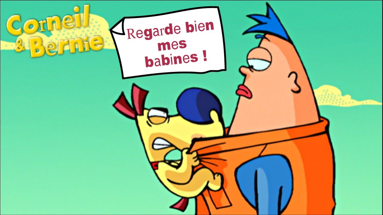 Corneil et Bernie - REGARDE BIEN MES BABINES ! | Compilation Saison 1 👀 ...