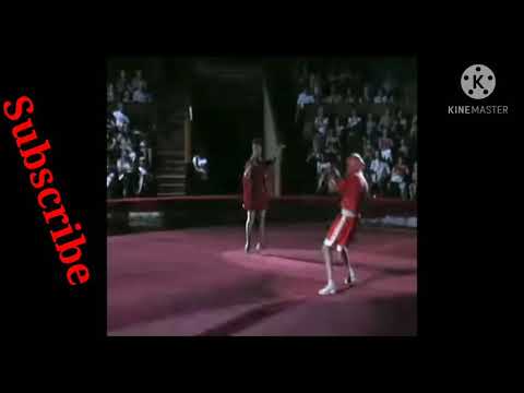 GREAT FIGHT EVER|[BOXER vs KANGAROO]|