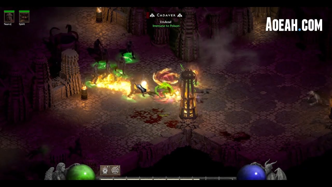 D2R 2.5 Wolf Druid Farm Elites in World Stone Terror Area - Best Diablo ...