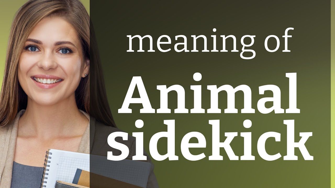 Understanding "Animal Sidekick": A Fun Guide to English Phrases - YouTube