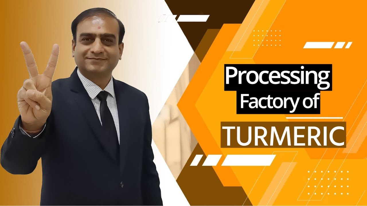Processing Factory of Turmeric | Best Quality Indian Turmeric | Indian ...