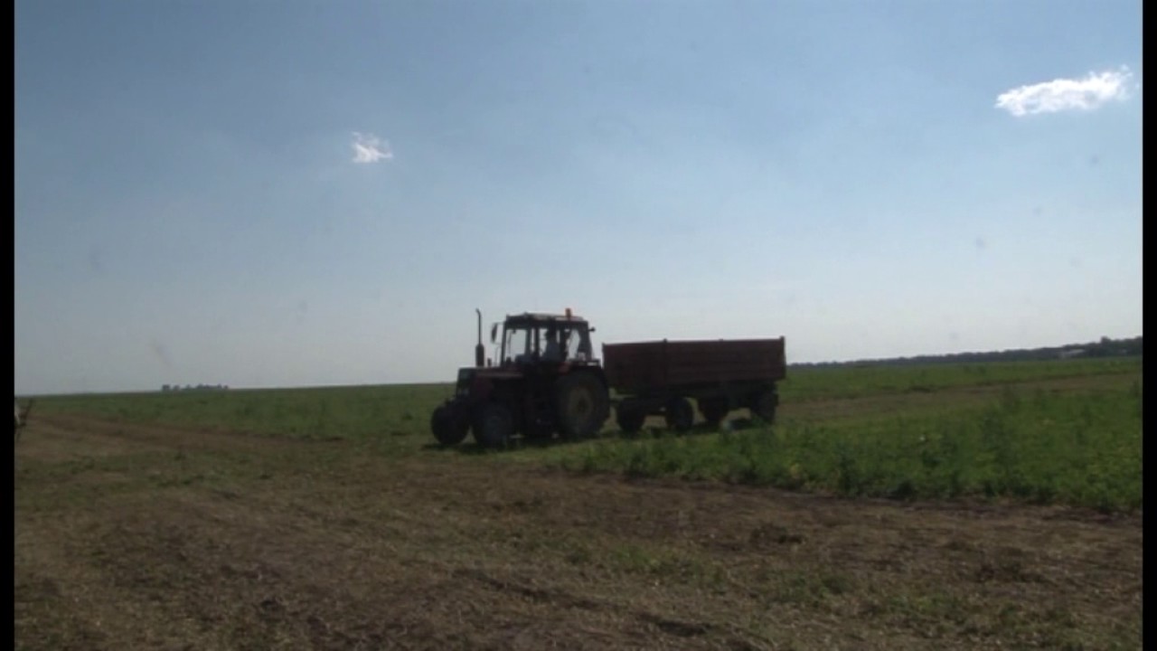 ZETVA GRASKA U PIK BECEJ - MK GRUPA - YouTube