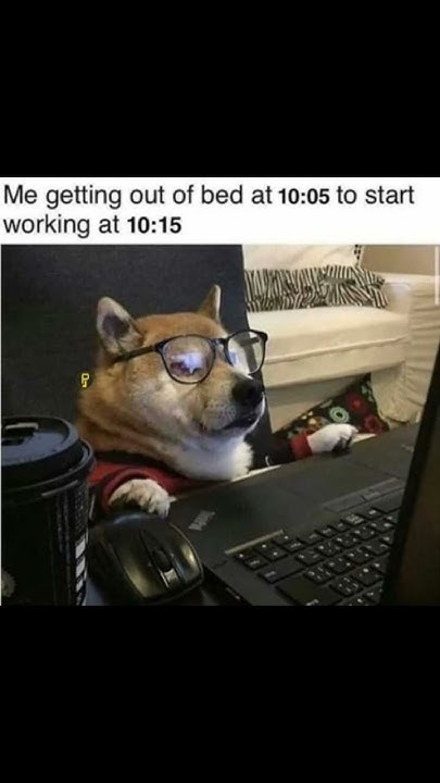 Programming Meme #58 - Debugging Struggles #viral #techhumor #developerlife #codingstruggles ...