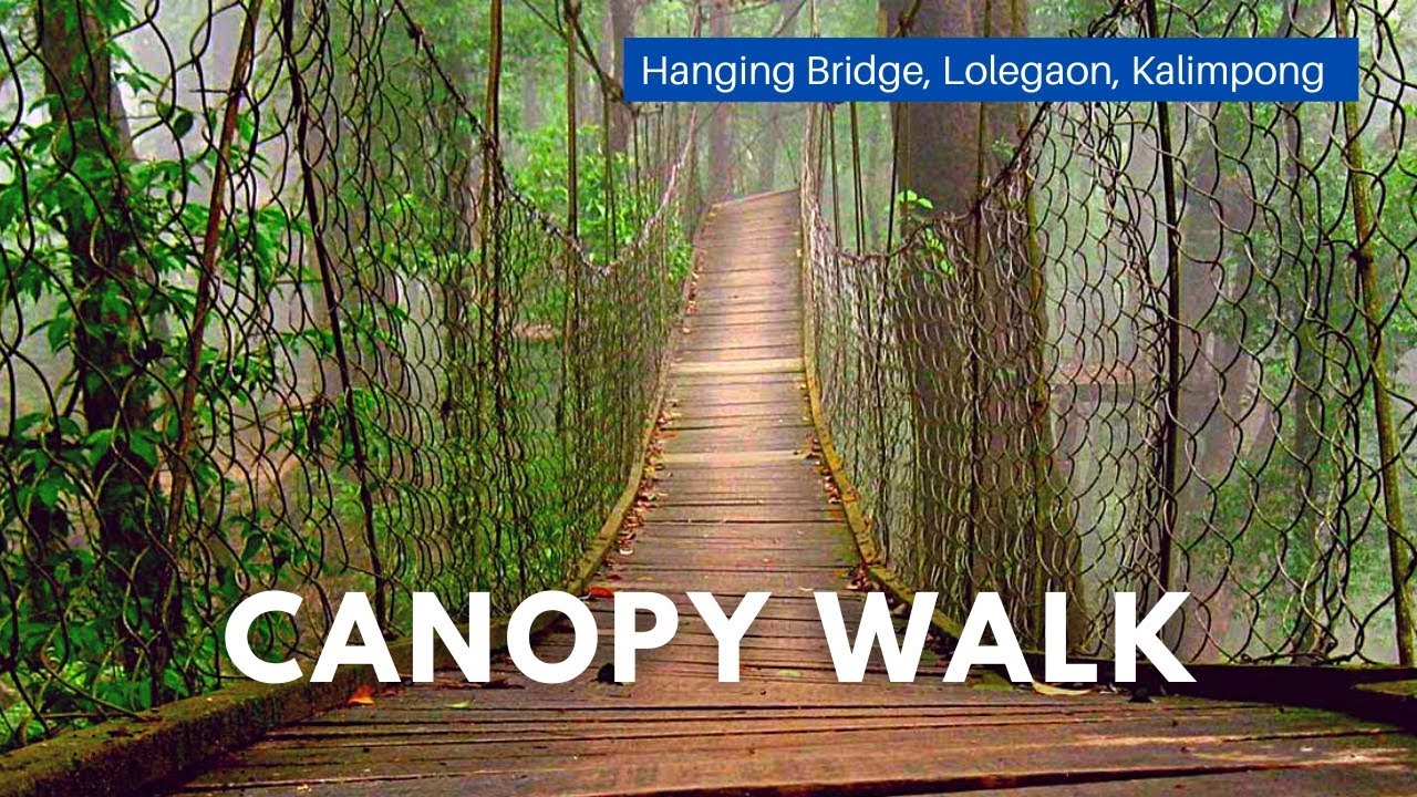 এটা কেমন Canopy Walk 😭|Hanging Bridge | Lolegaon kaffergaon Sightseeing ...