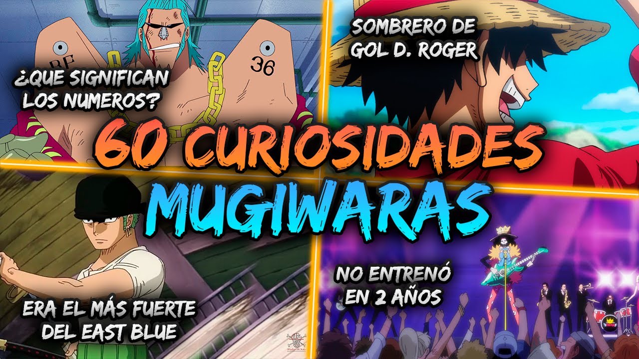 1 CURIOSIDAD de CADA MUGIWARA en ONE PIECE - YouTube