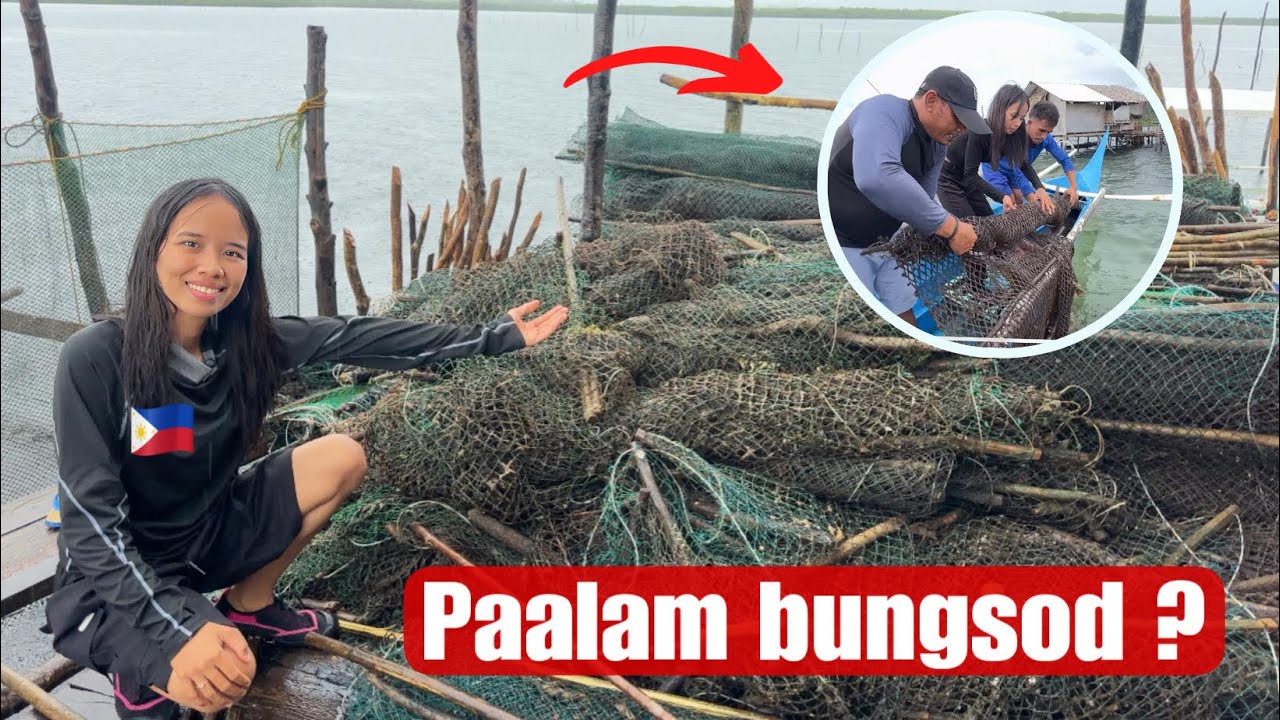 Wala Munang Bungsod Kasi Ipapaayos Muna Namin|Marielasin Vlog - YouTube