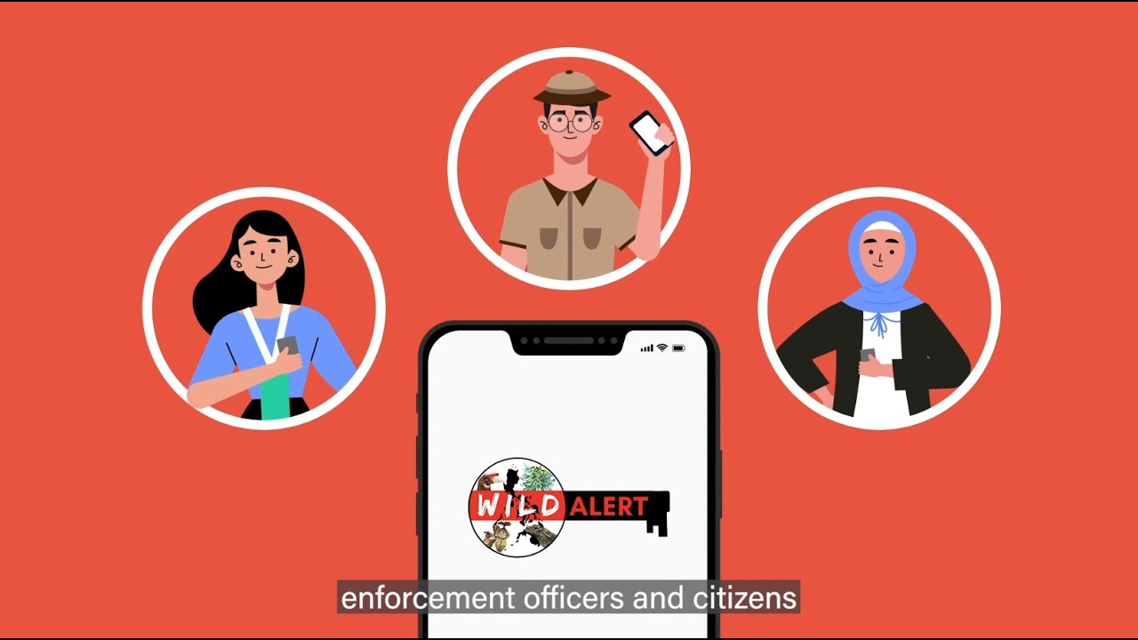 WildALERT App - YouTube