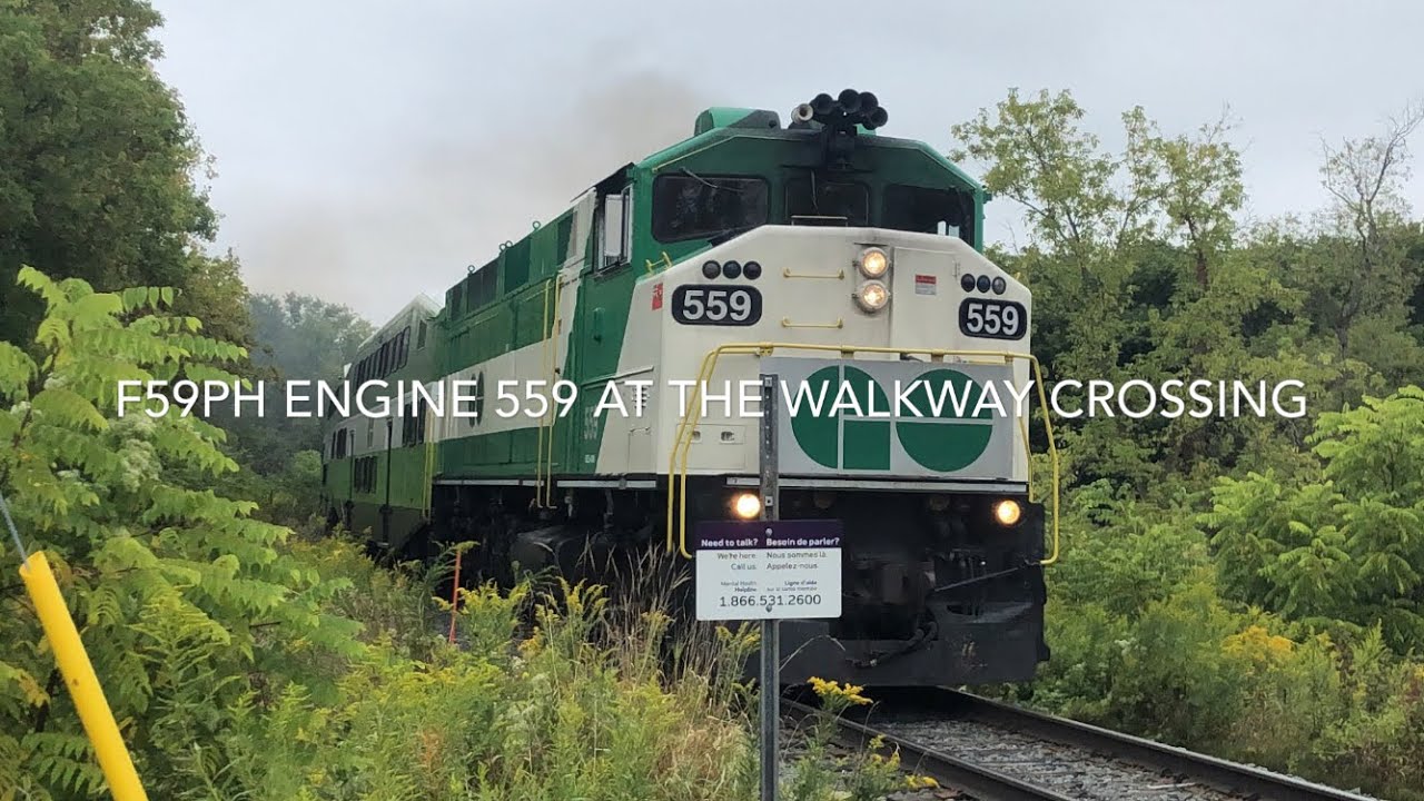 Seeing the Rare F59PH Go Train Engine 559 at the Walkway Crossing in ...