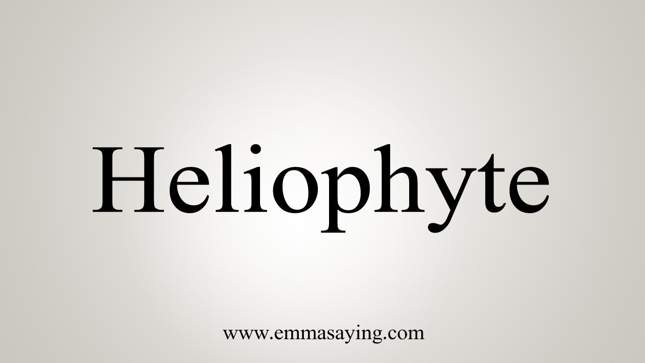 How To Say Heliophyte - YouTube