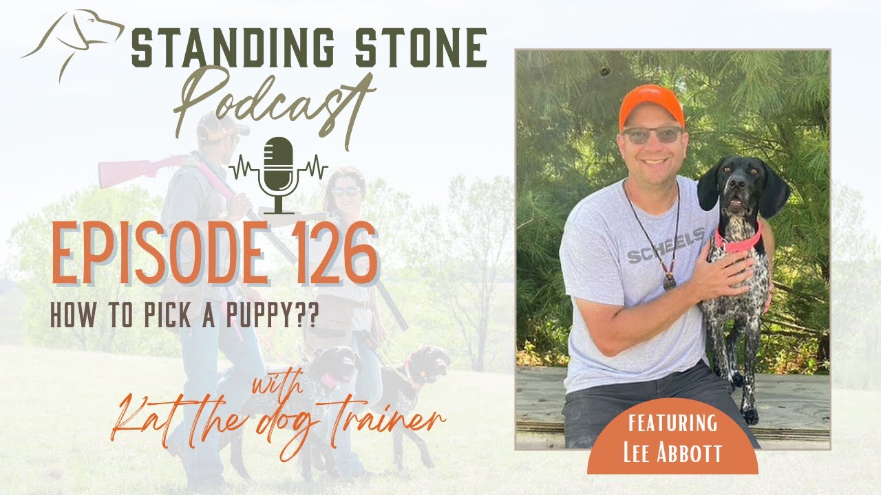 126: How To Pick A Puppy with Lee Abbott - YouTube